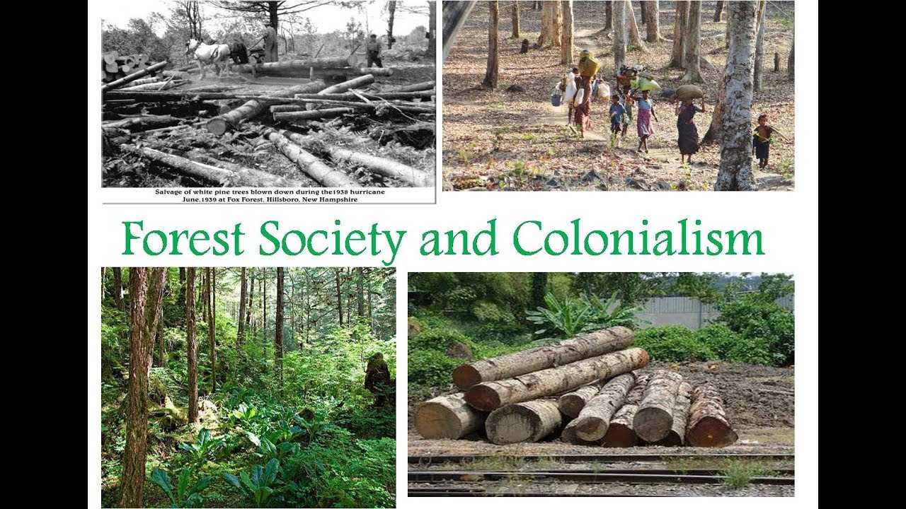 Understanding Settler Colonialism | Impactful Stories, Global Insights